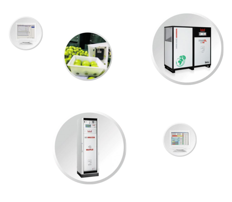 Dynamic Controlled Atmosphere (DCA) storage of fruits & vegetables