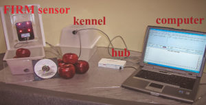 Harvest Watch – Controlled Atmosphere